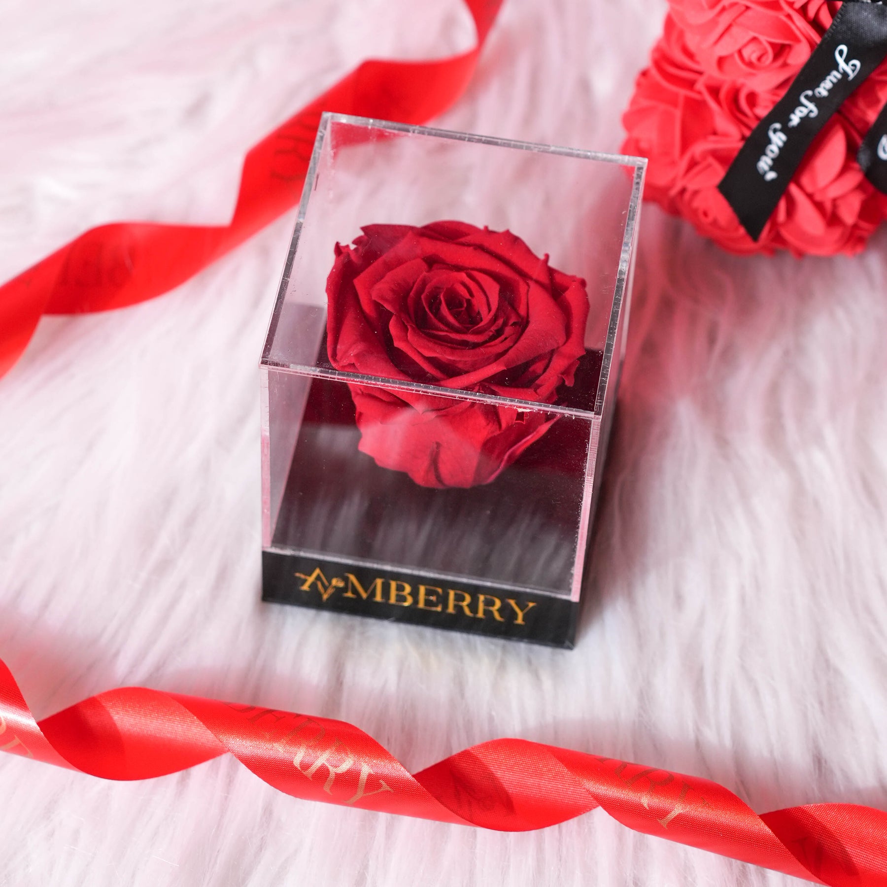 New arrivals – Amberry India