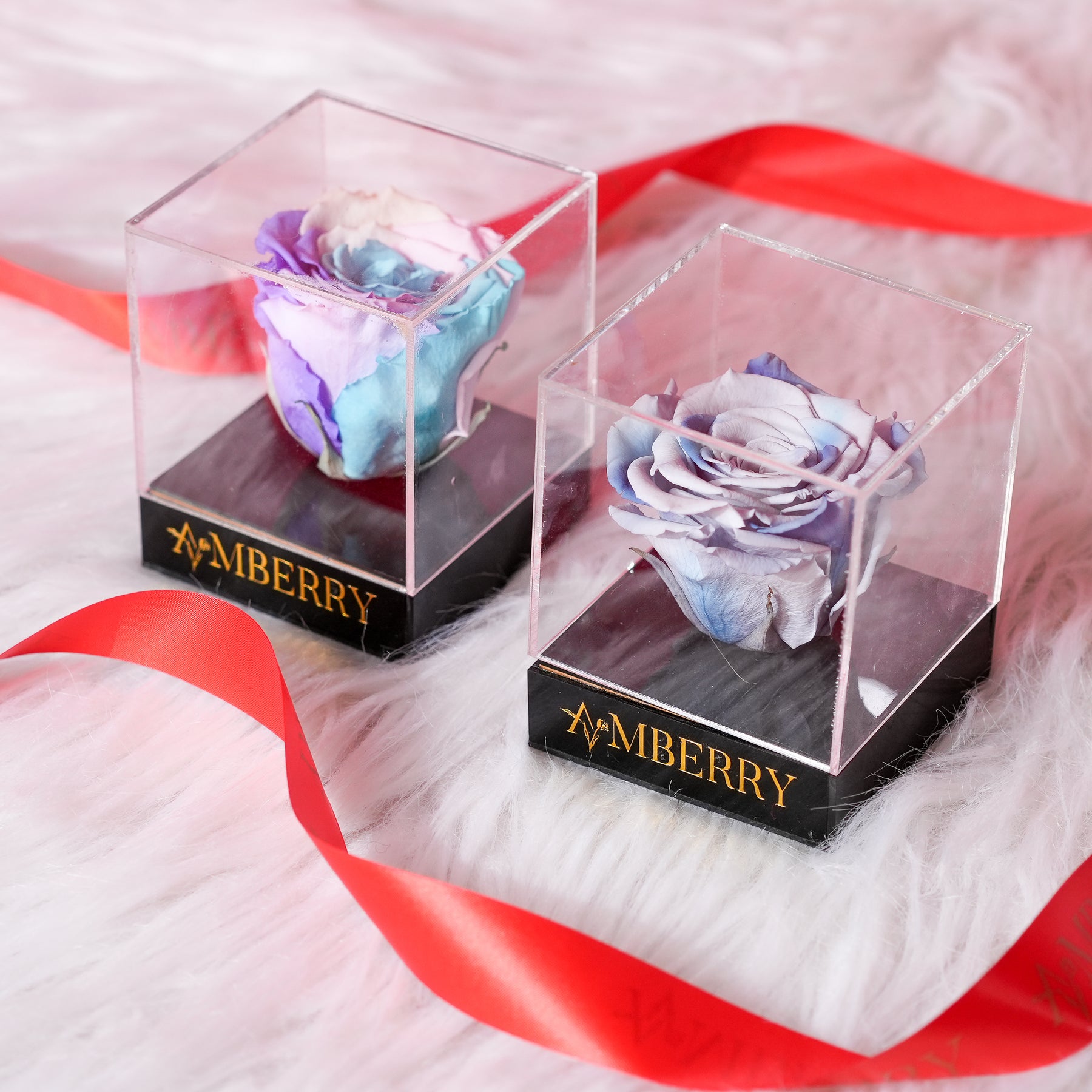 New arrivals – Amberry India