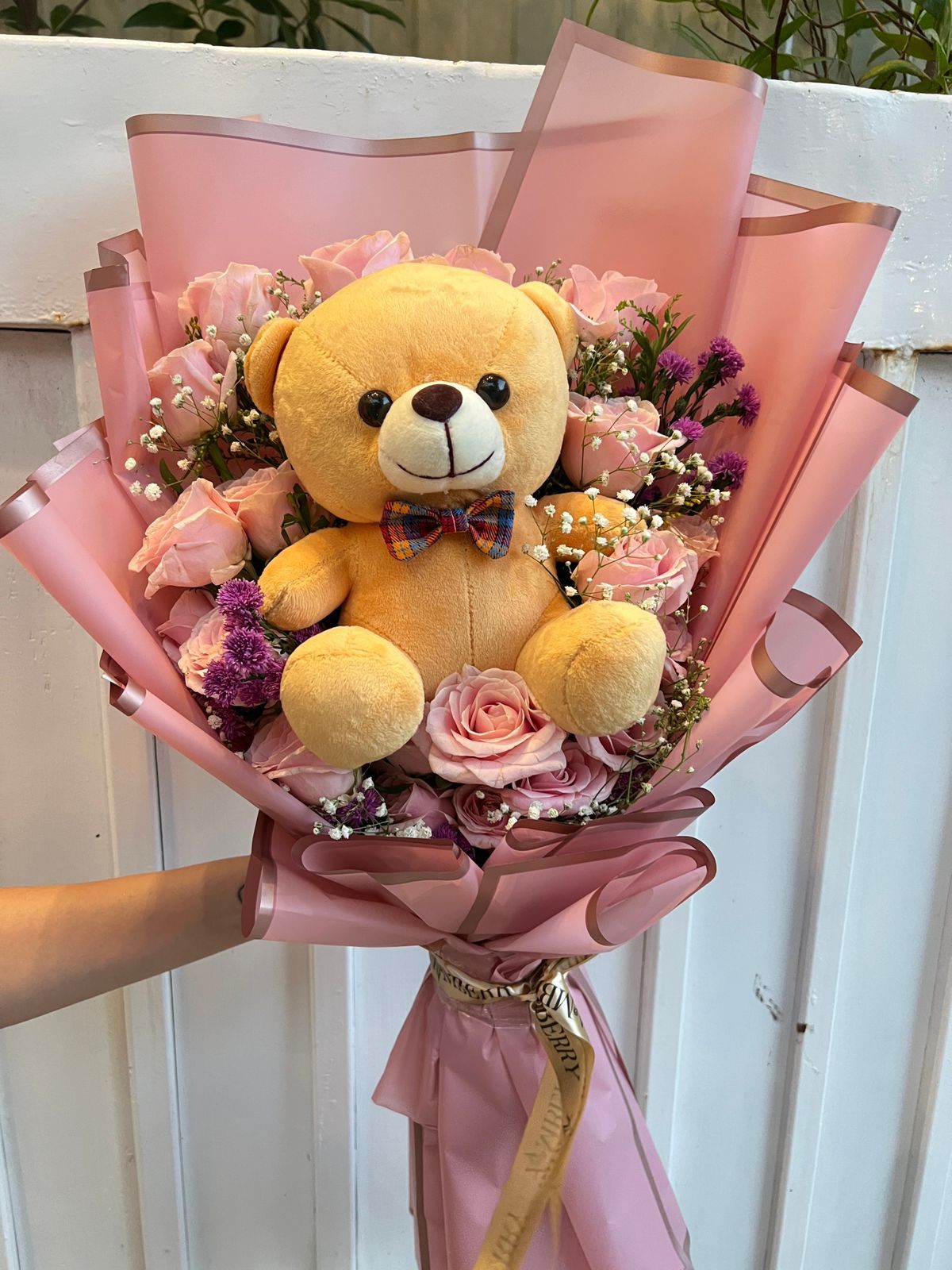 New arrivals – Amberry India