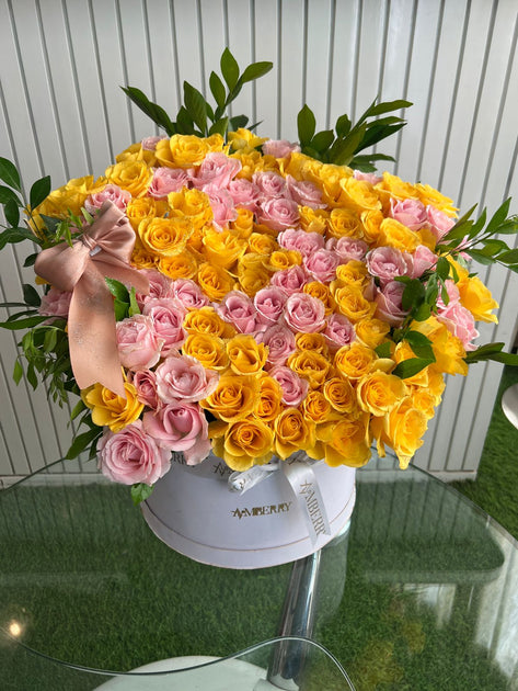 New arrivals – Amberry India