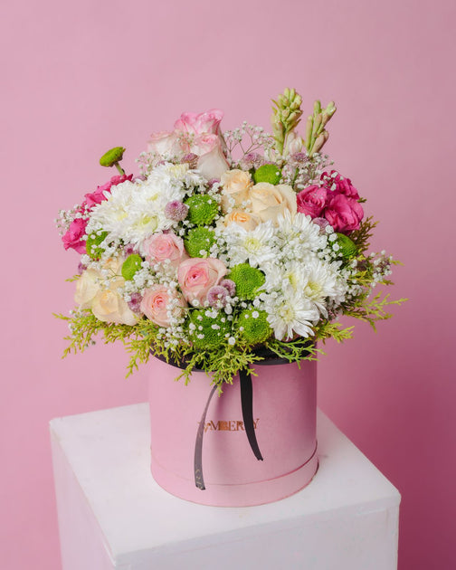 New arrivals – Amberry India
