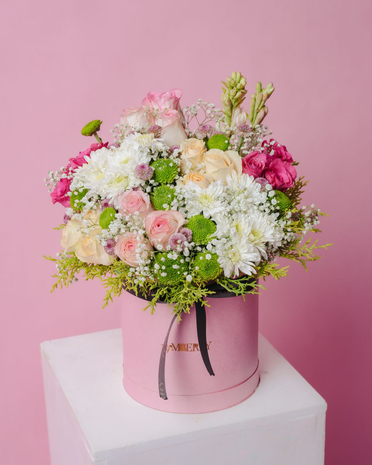 New arrivals – Amberry India
